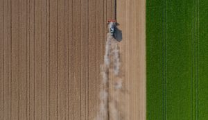 The Kobi Company – I just met my perfect gardener: Kobi, the fully ...