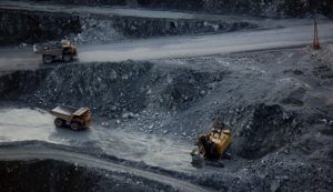 The Kobi Company – I just met my perfect gardener: Kobi, the fully ...